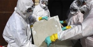 Services - Ceres Environmental